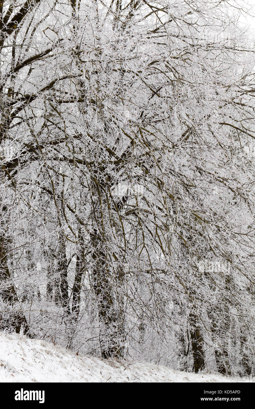 Winter time of the year Stock Photo - Alamy