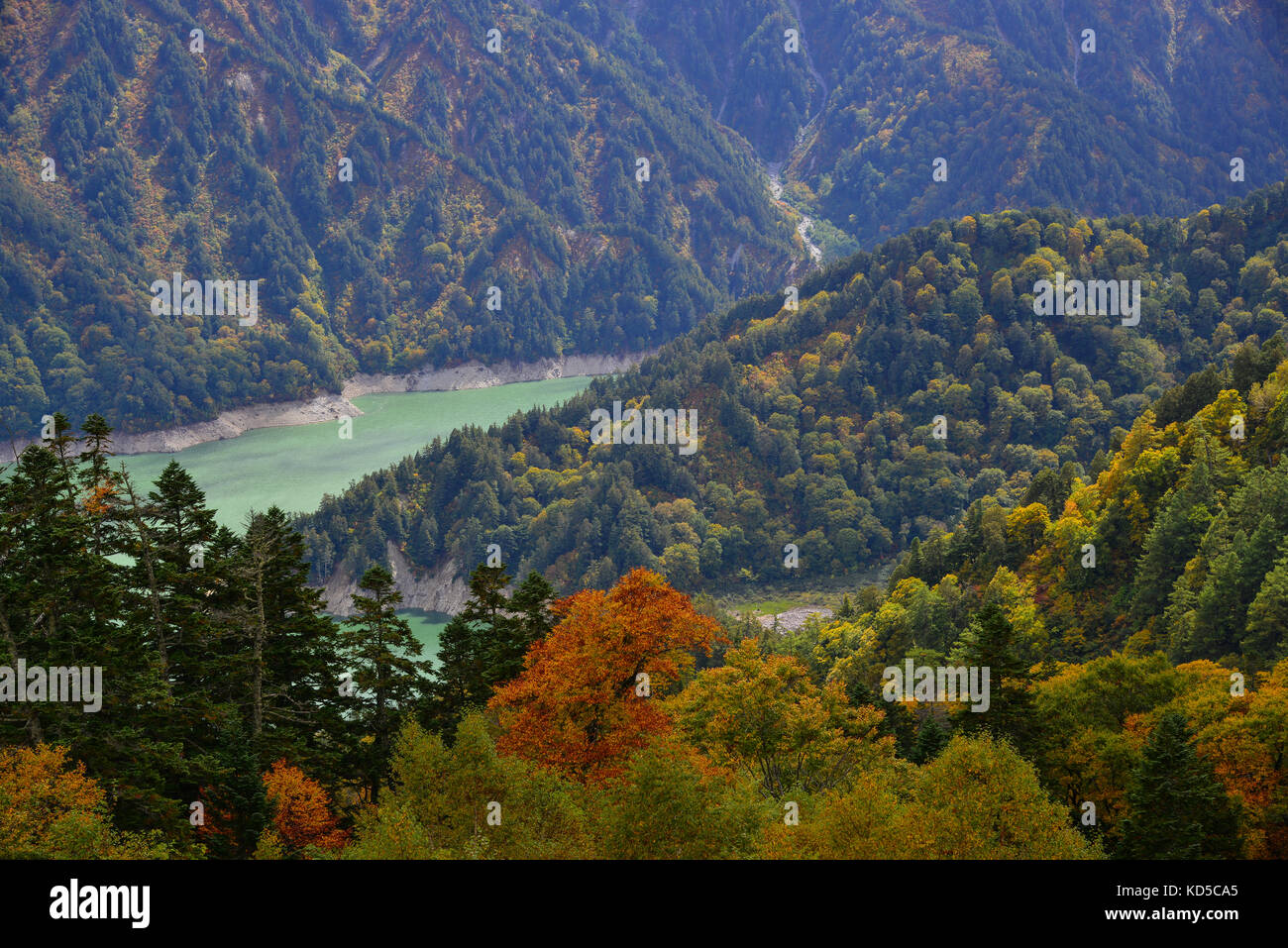 Autumn scenery with mountain background in Toyama Prefecture, Japan ...