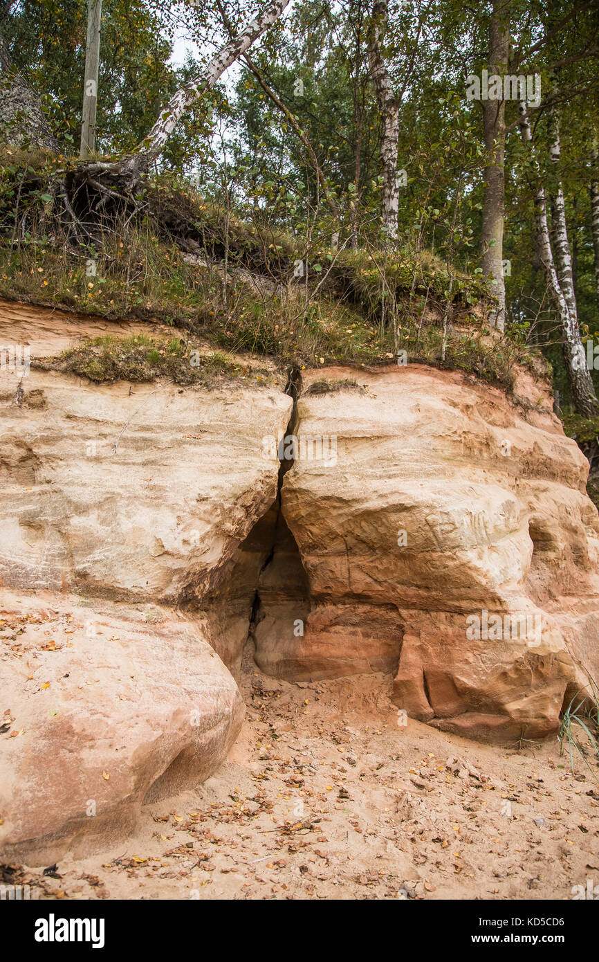 A beautiful sandstone shore landscape. Trees growing on a sandstone ...