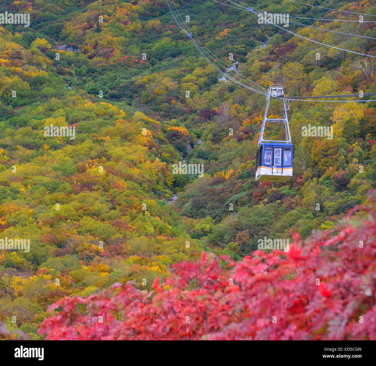 Toyama, Japan - Oct 4, 2017. A robe car hanging on Mt. Tate at autumn ...