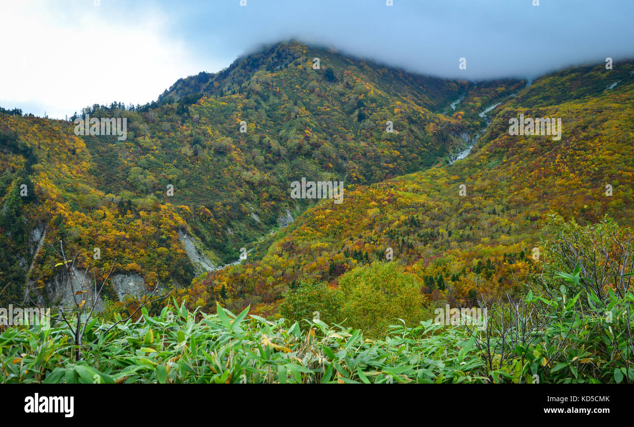 Landscape of Mt. Tate in autumn. Mount Tate (Tateyama) is a mountain in ...