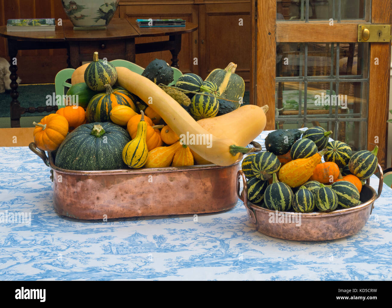 Mixed squashes on display autumn fruits from the garden Stock Photo - Alamy