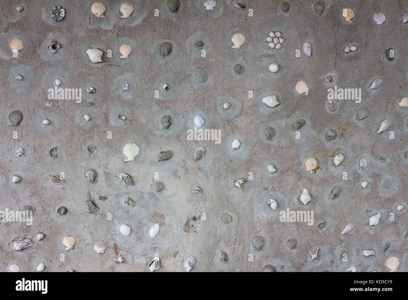 Shell pattern hi-res stock photography and images - Alamy