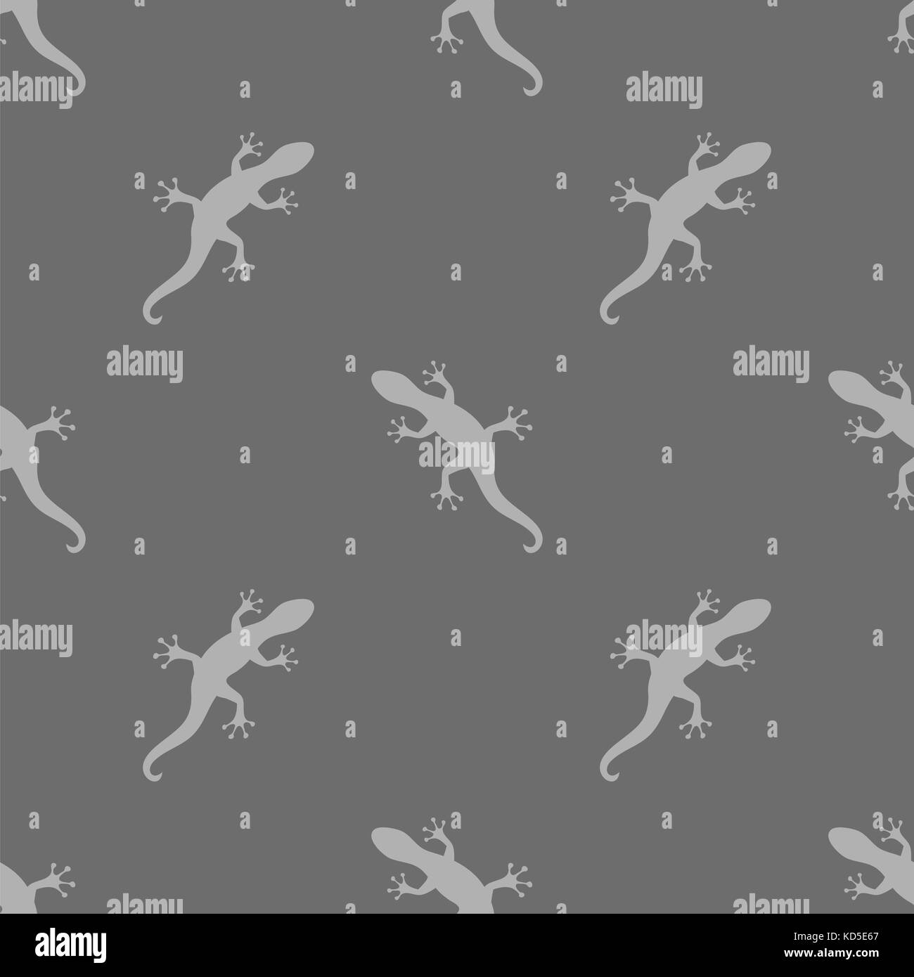 Salamander drawing Black and White Stock Photos & Images - Alamy