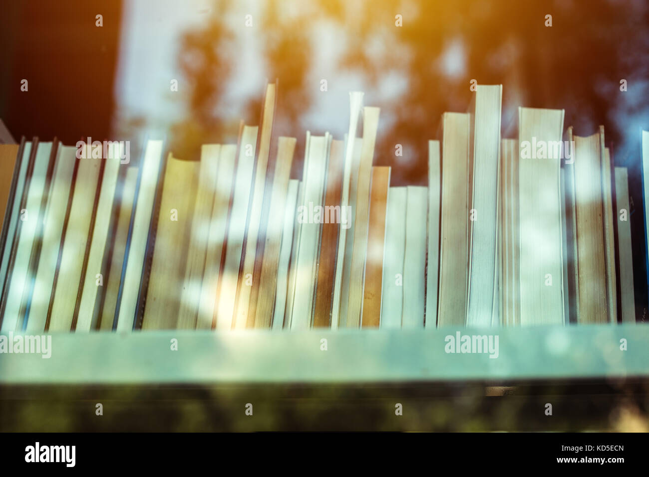 Books on library shelf through window, selective focus Stock Photo - Alamy
