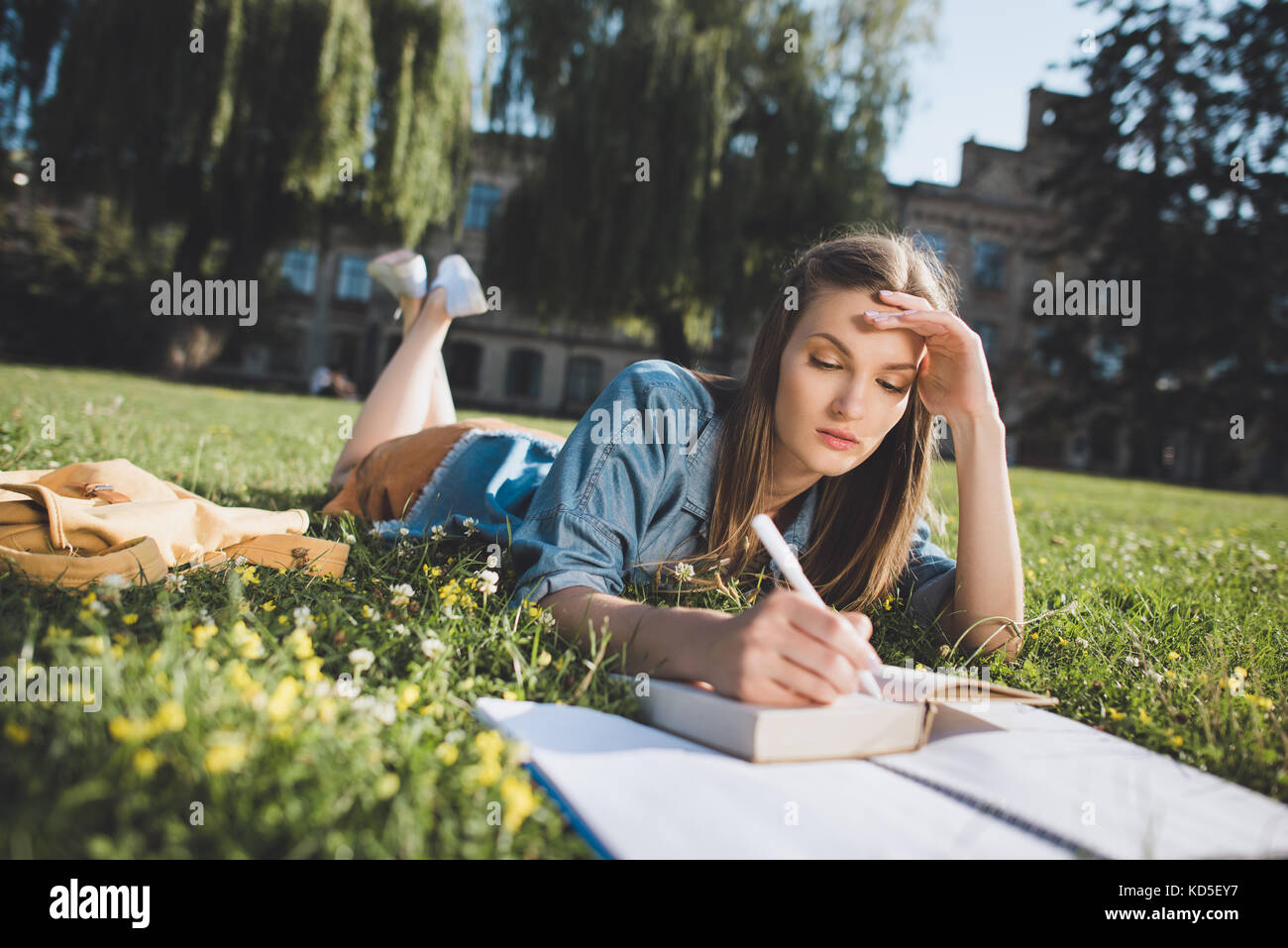 young woman studying in park Stock Photo - Alamy