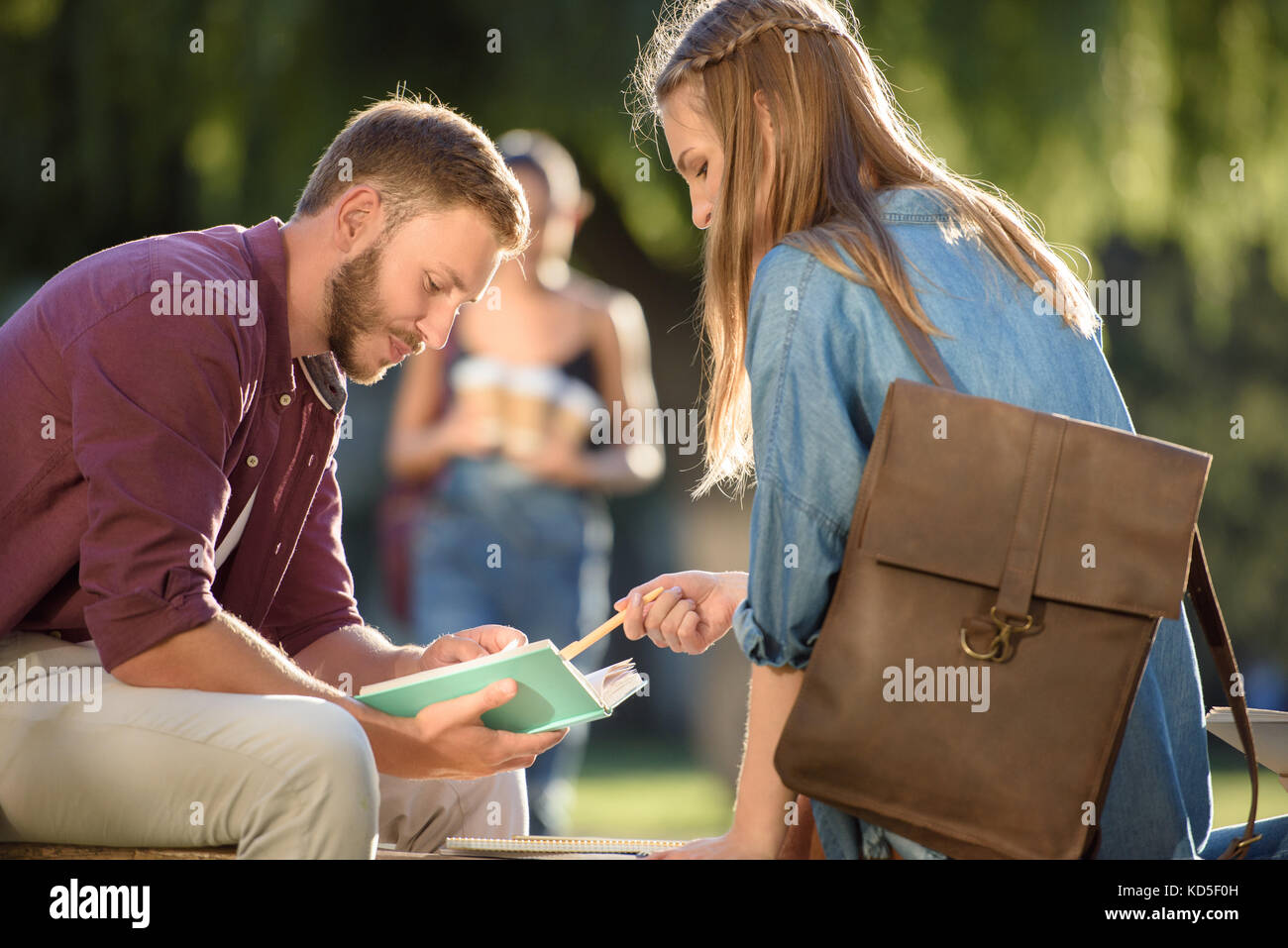 students studying on bench in park Stock Photo - Alamy