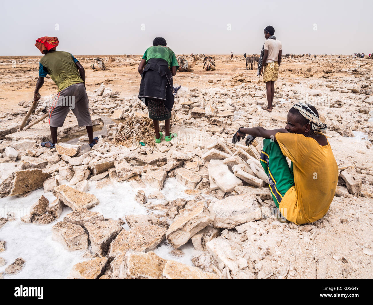 DANAKIL DEPRESSION, ETHIOPIA - JUNE 29, 2016: Afar man mining salt from ...