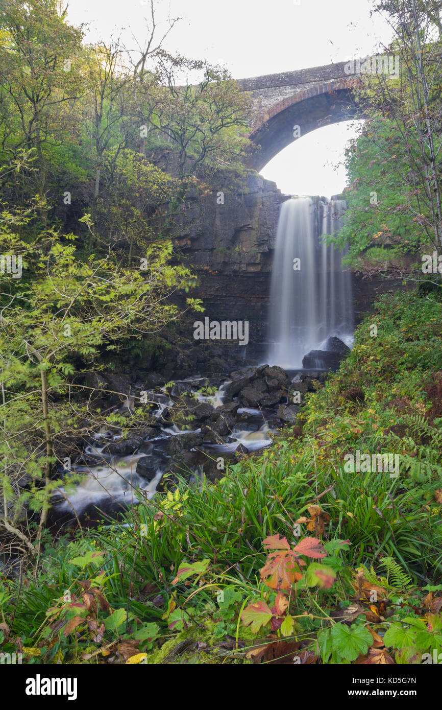 Ashgill Falls at Garrigill, Cumbria Stock Photo - Alamy