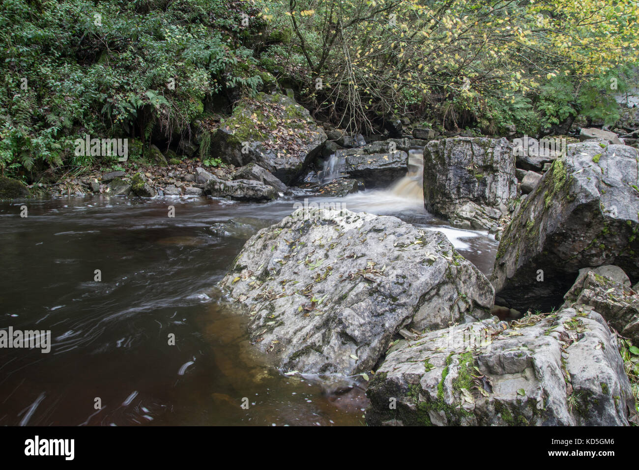 Ashgill Falls, near Garrigill in Cumbria Stock Photo - Alamy