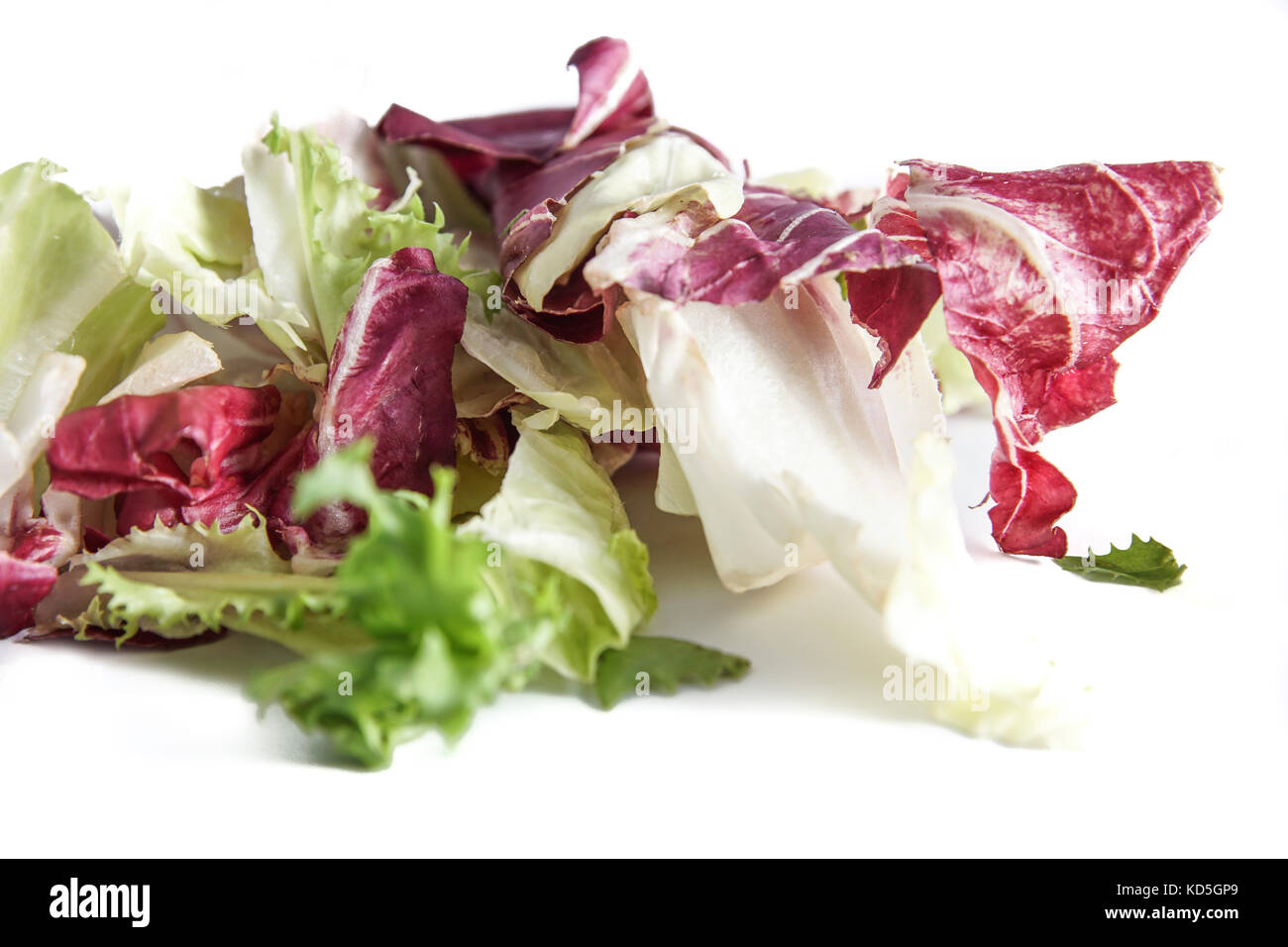 salad radicchio and green lettuce isolated on white background ...