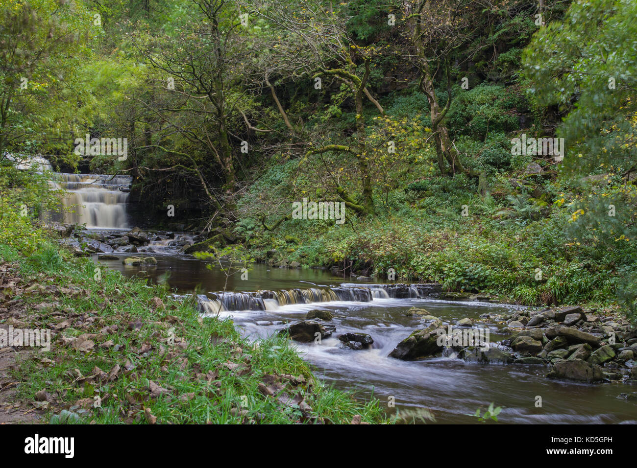 Ashgill Falls, near Garrigill in Cumbria Stock Photo - Alamy