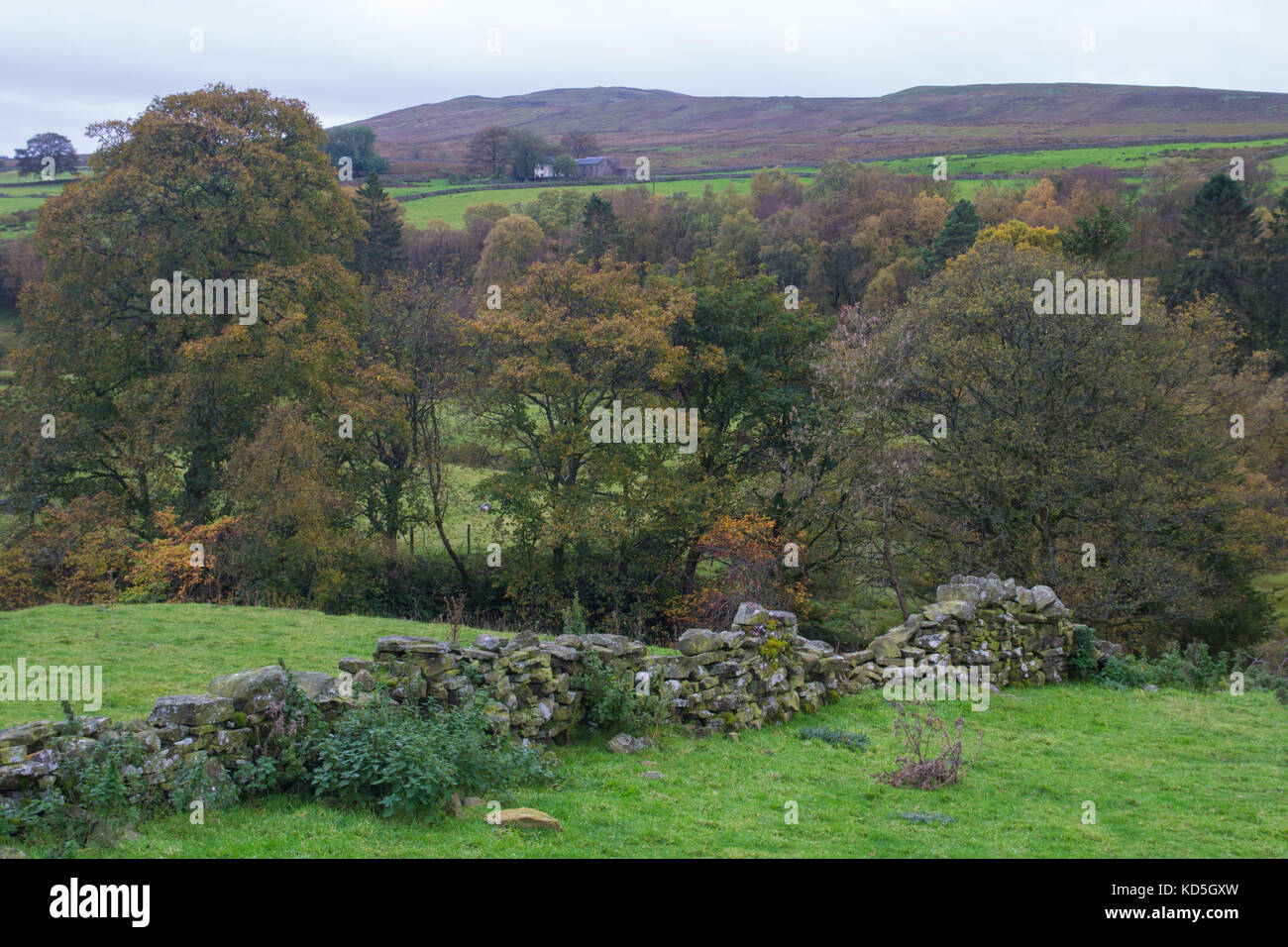 The North Pennines Stock Photos & The North Pennines Stock Images - Alamy