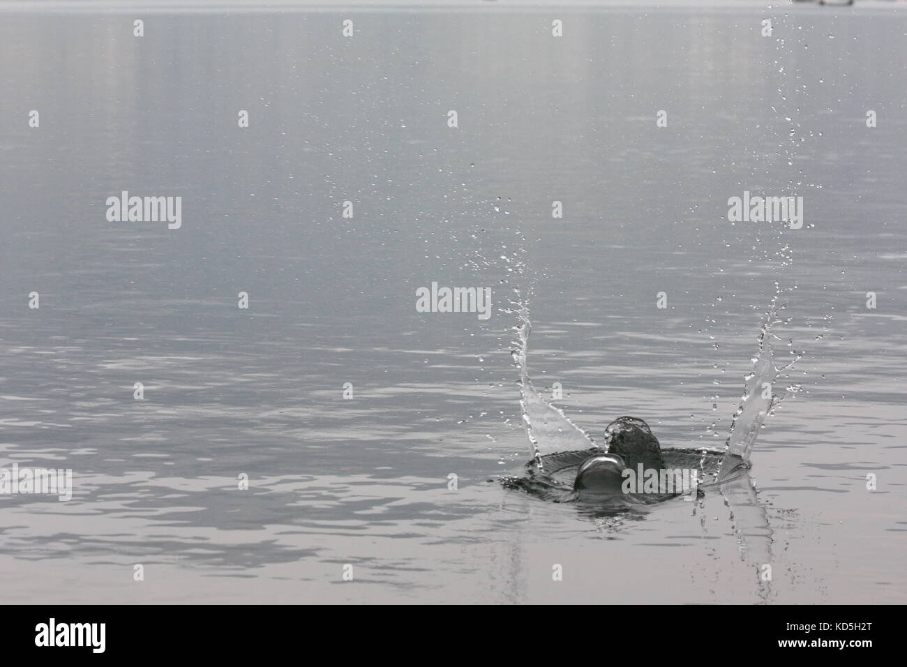 Water splashes as an object is thrown into it, detail Stock Photo - Alamy
