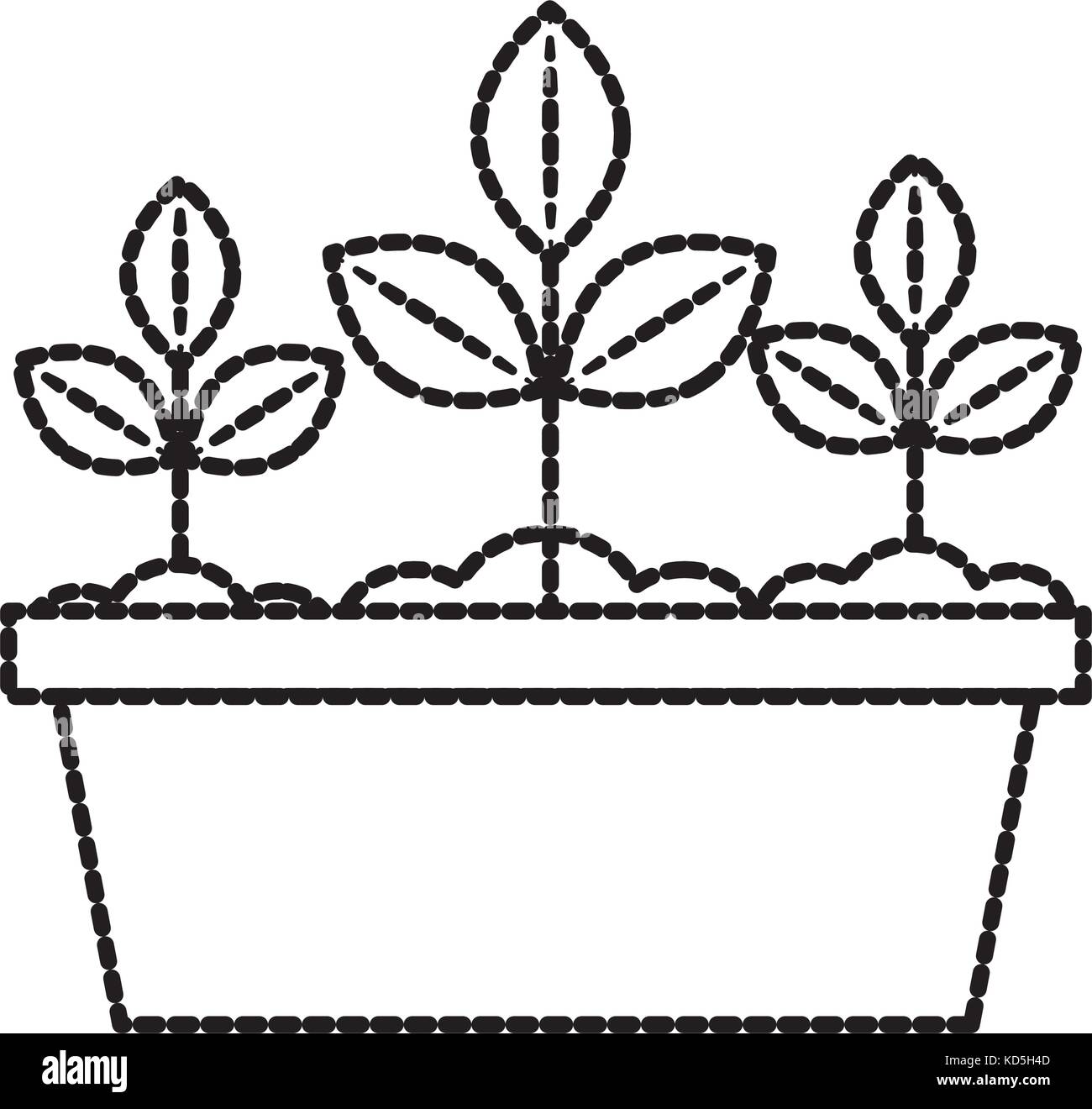 potted plant gardening natural decoration flora Stock Vector Image ...