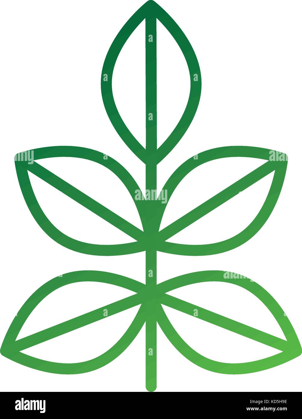 leaf plant garden natural flora icon Stock Vector Image & Art - Alamy