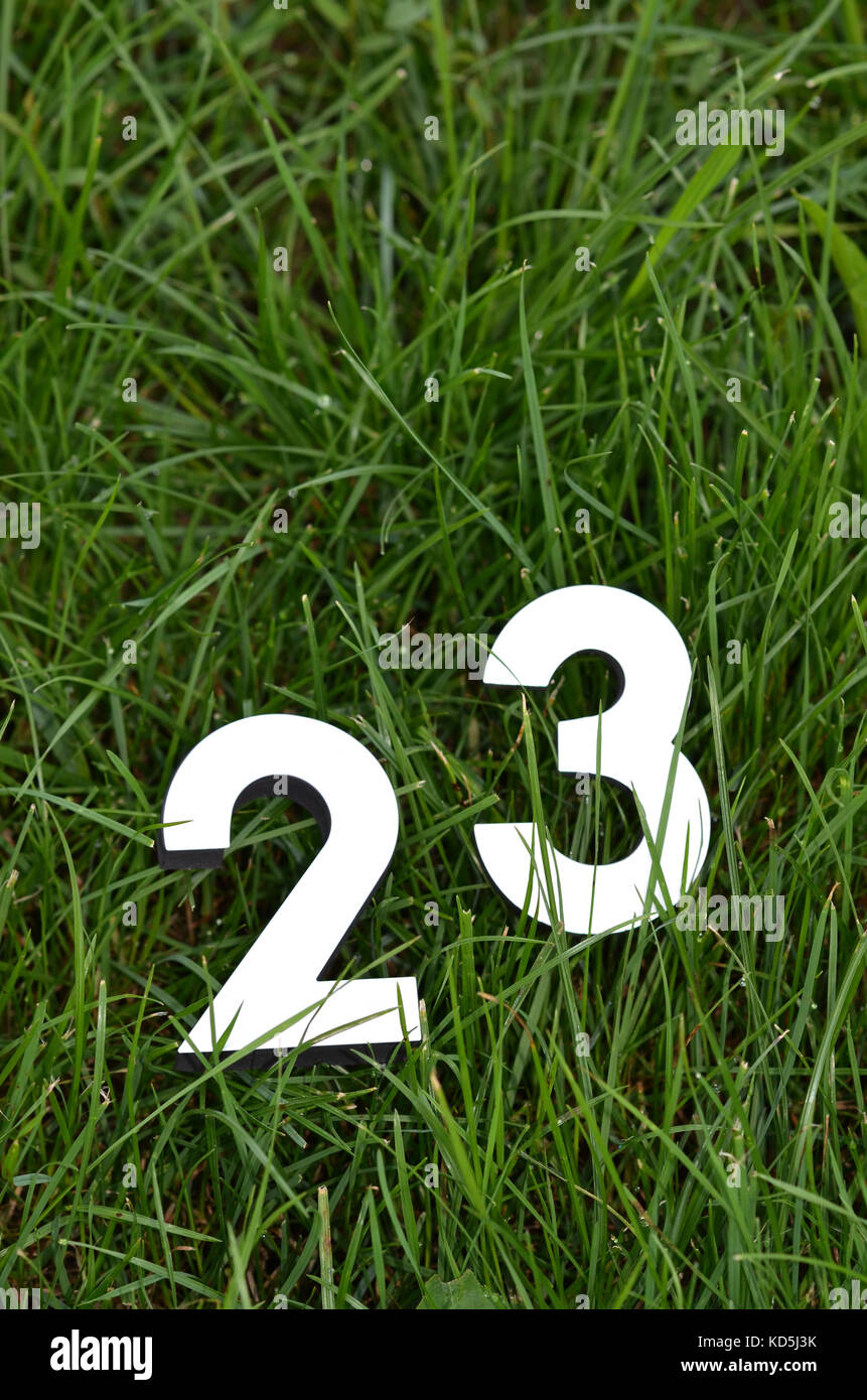 World fresh grass letters hi-res stock photography and images - Alamy