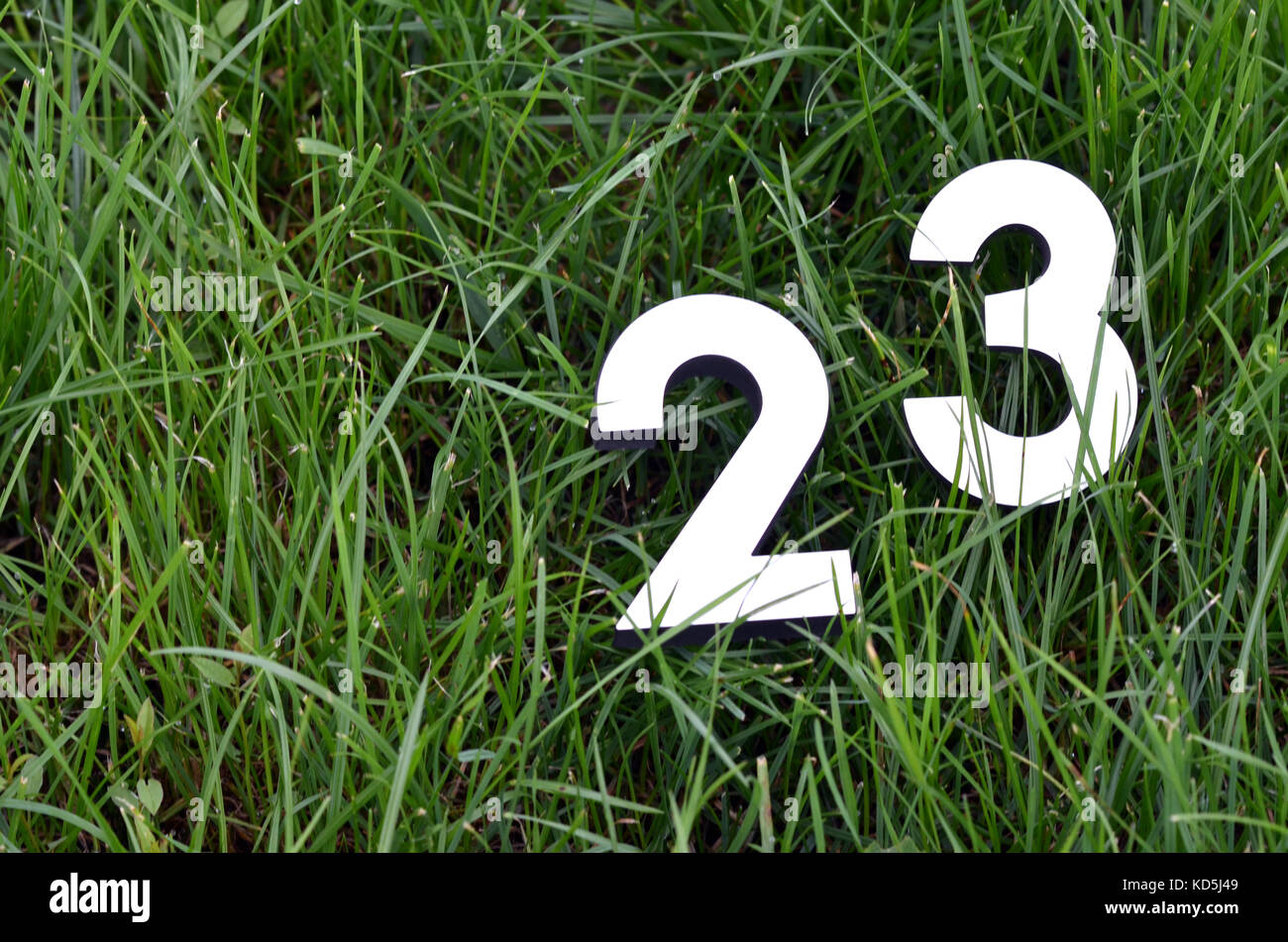 World fresh grass letters hi-res stock photography and images - Alamy