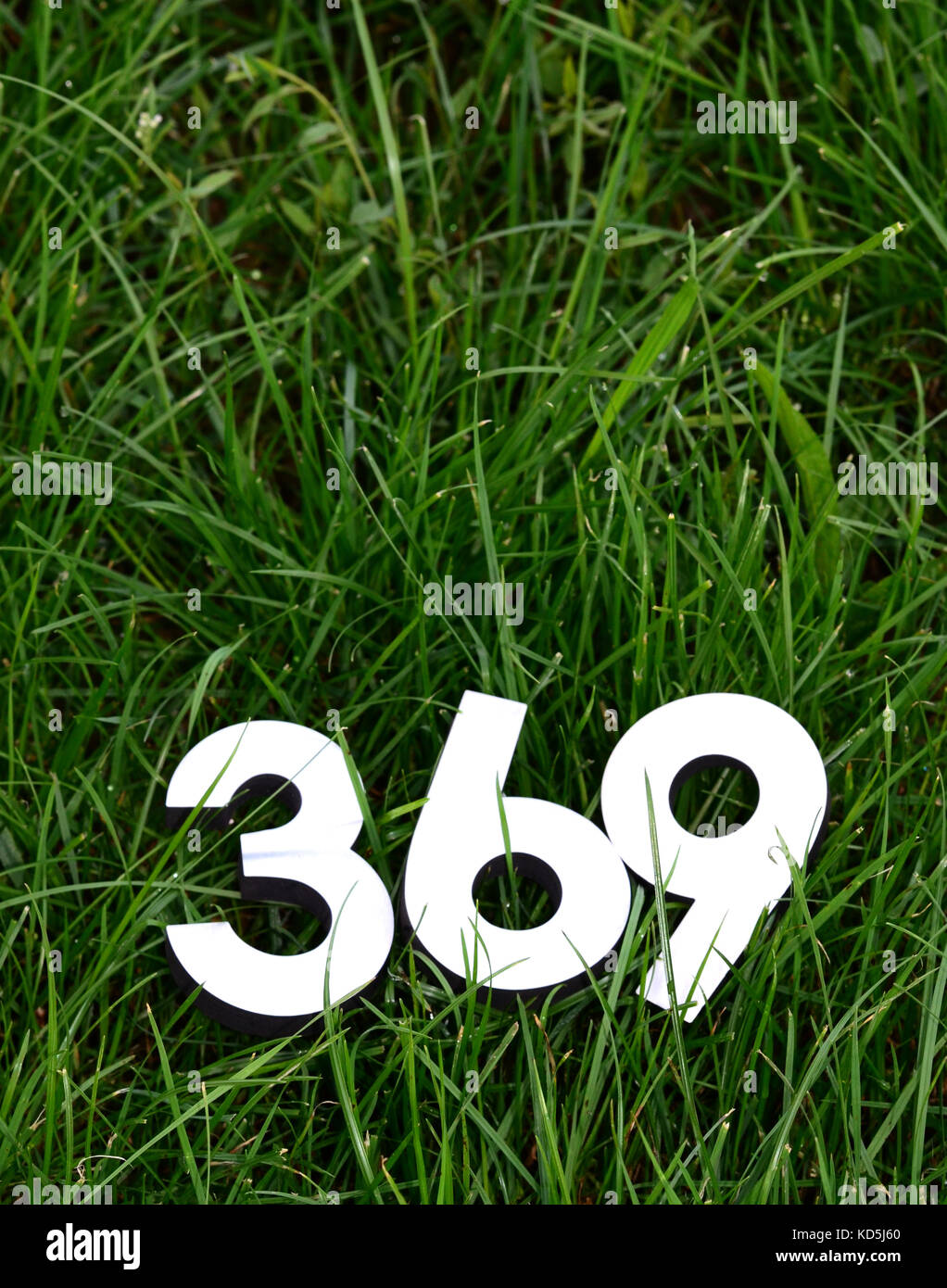 Picture of a Numbers on a fresh green grass Stock Photo - Alamy