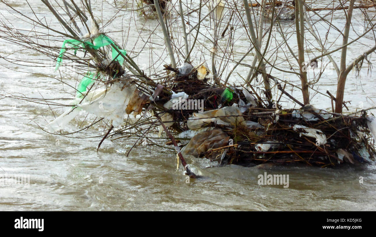 Picture of a Plastic pollution of a river Stock Photo - Alamy