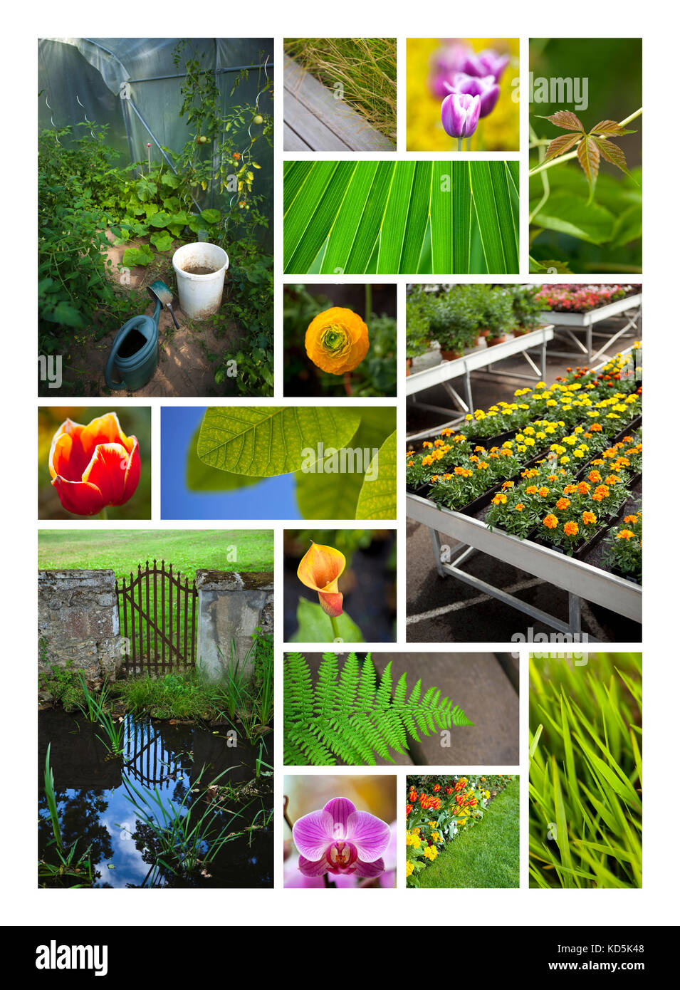 Images of gardens and flowers in Spring on a collage Stock Photo - Alamy