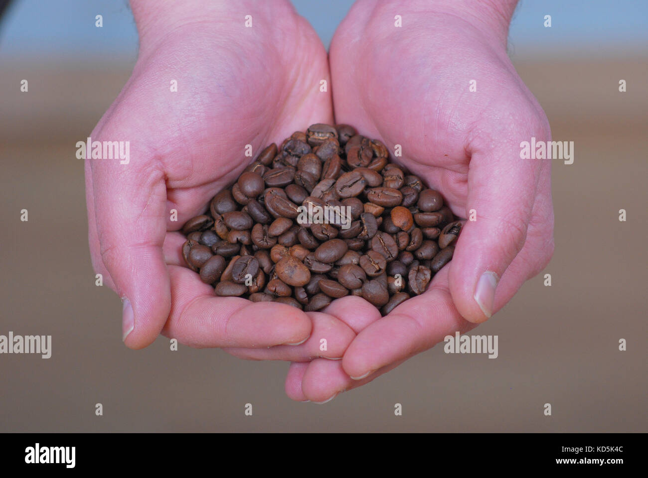Female hand full coffee beans hi-res stock photography and images - Alamy