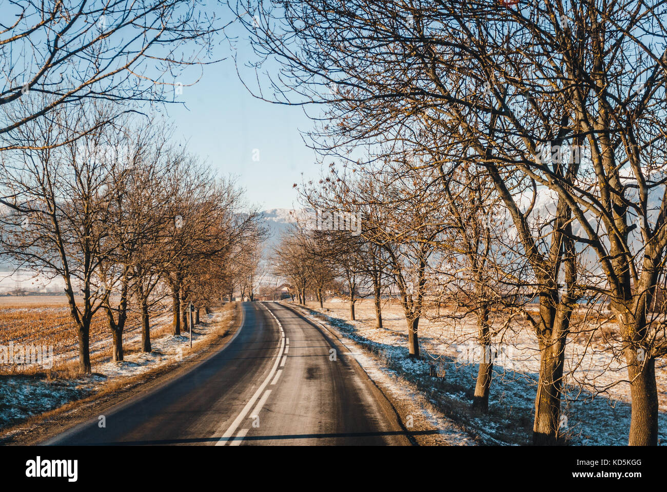 Empty winter road with snow beside the road and bare trees Stock Photo ...