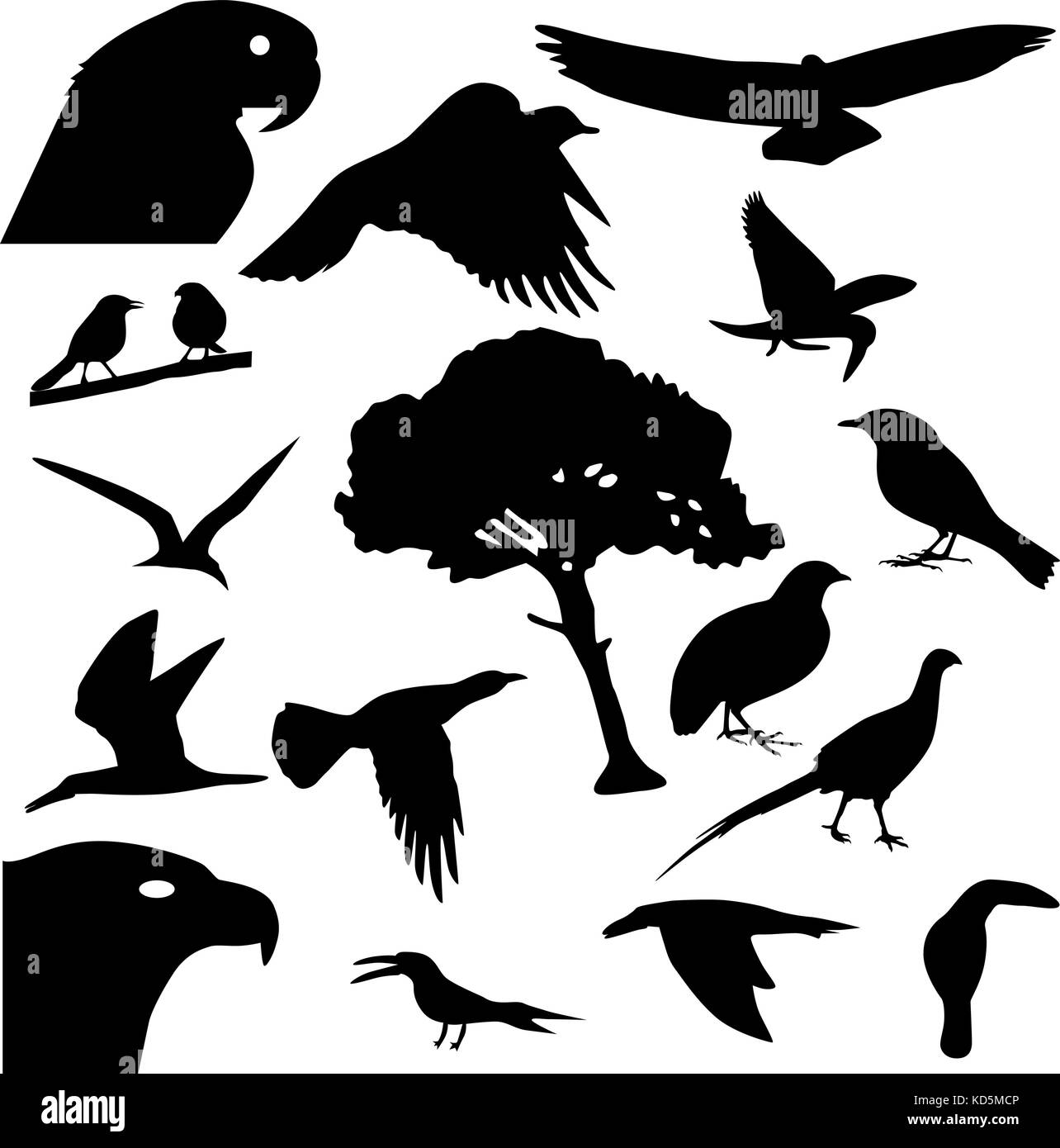 bird silhouette vector Stock Vector Image & Art - Alamy