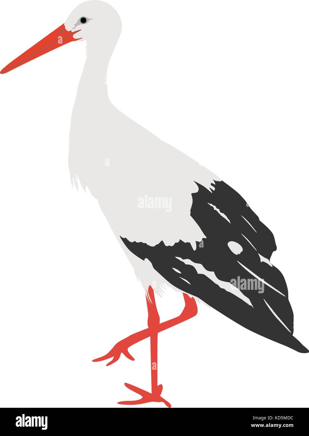 Rural stork Stock Vector Images - Alamy