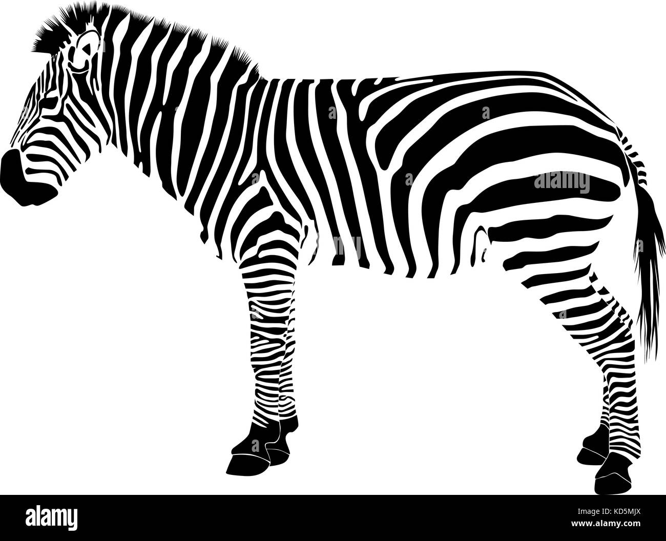 Zebra Silhouette High Resolution Stock Photography and Images - Alamy