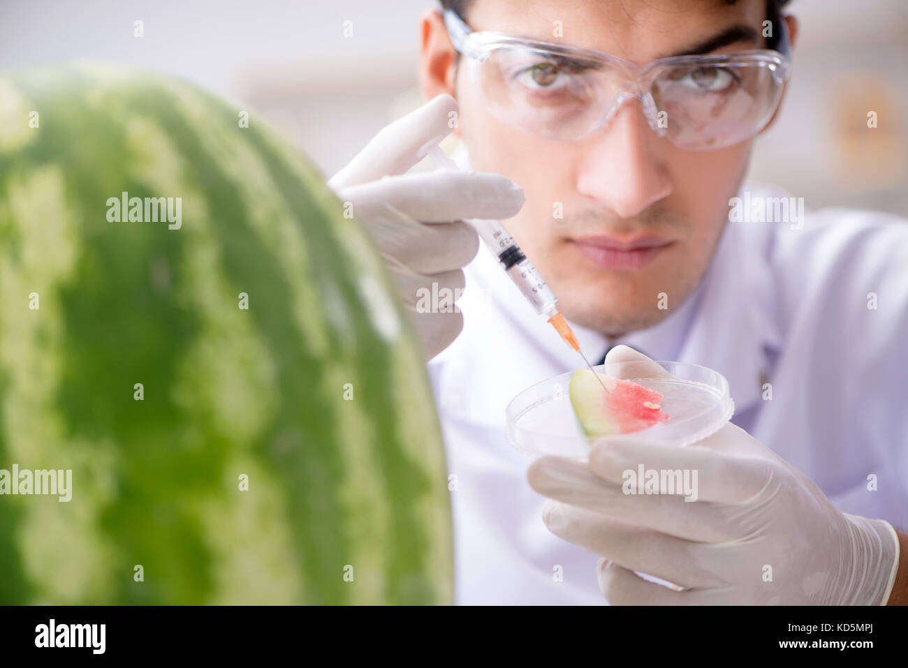 Scientist testing watermelon in lab Stock Photo - Alamy