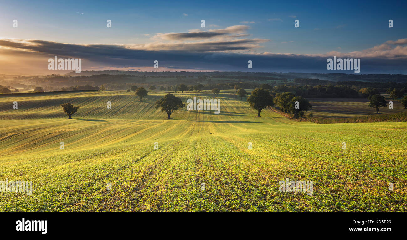 Scenic Sunrise over British Countryside Stock Photo - Alamy
