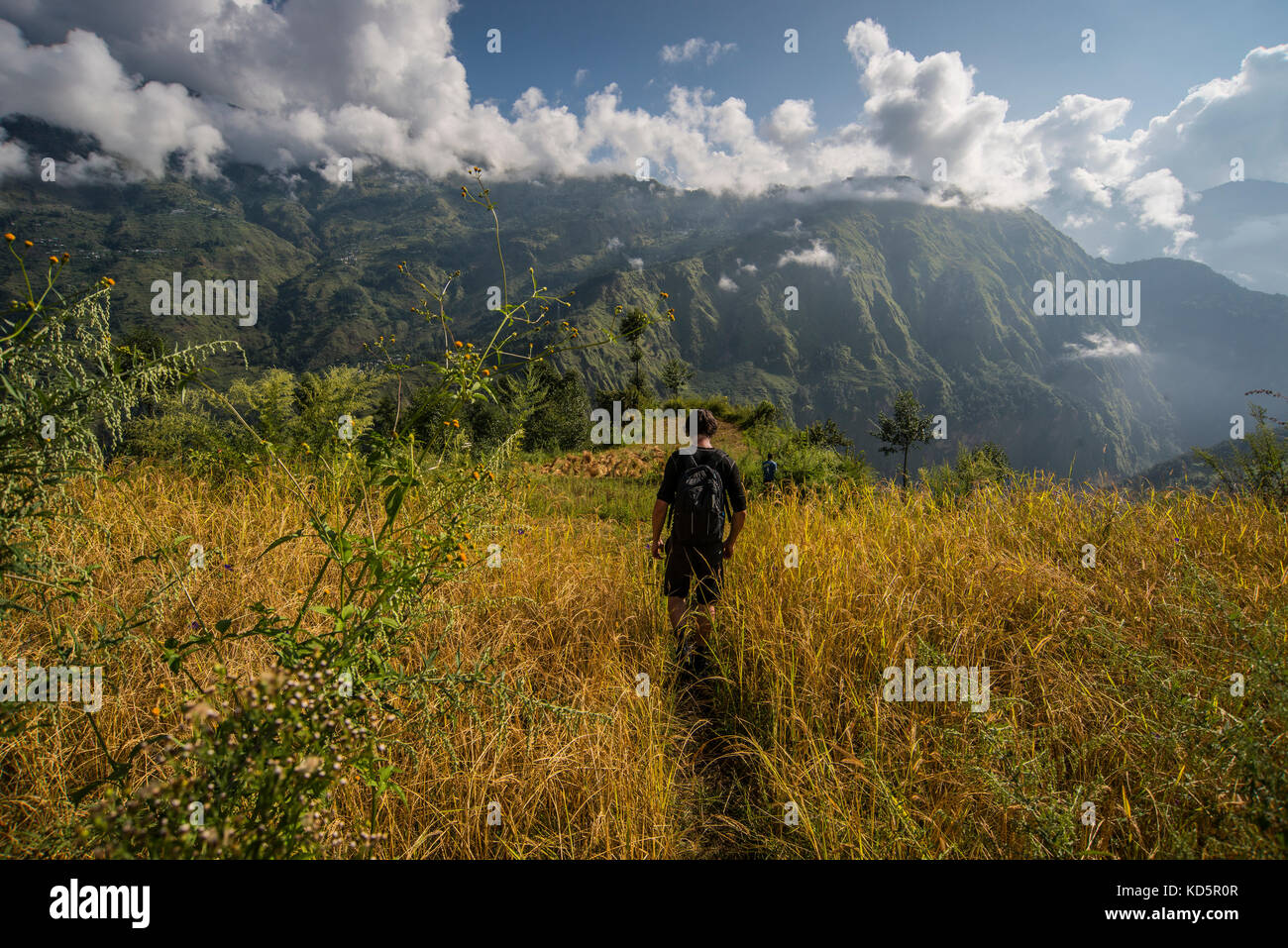 Hiking in the Indian Himalayas near the town of Munsiyari, Pithoragarh ...