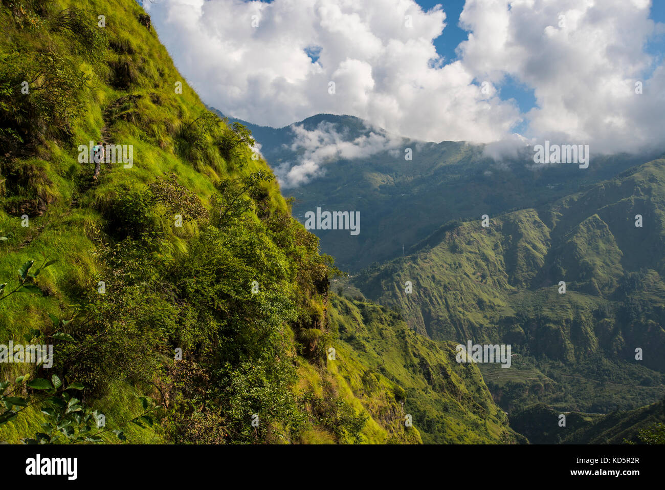 Hiking in the Indian Himalayas near the town of Munsiyari, Pithoragarh ...