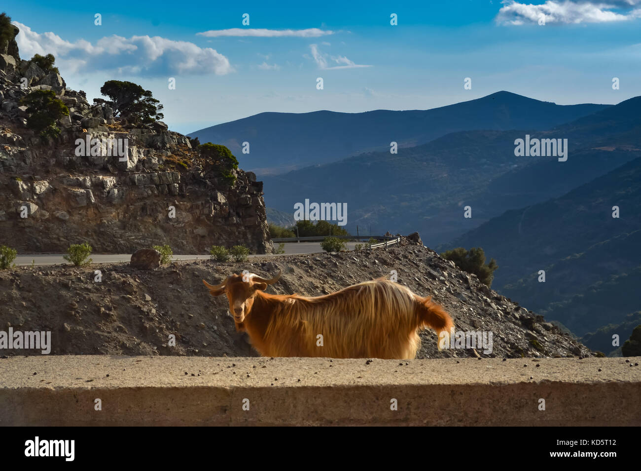 Red goat mountain hi-res stock photography and images - Alamy