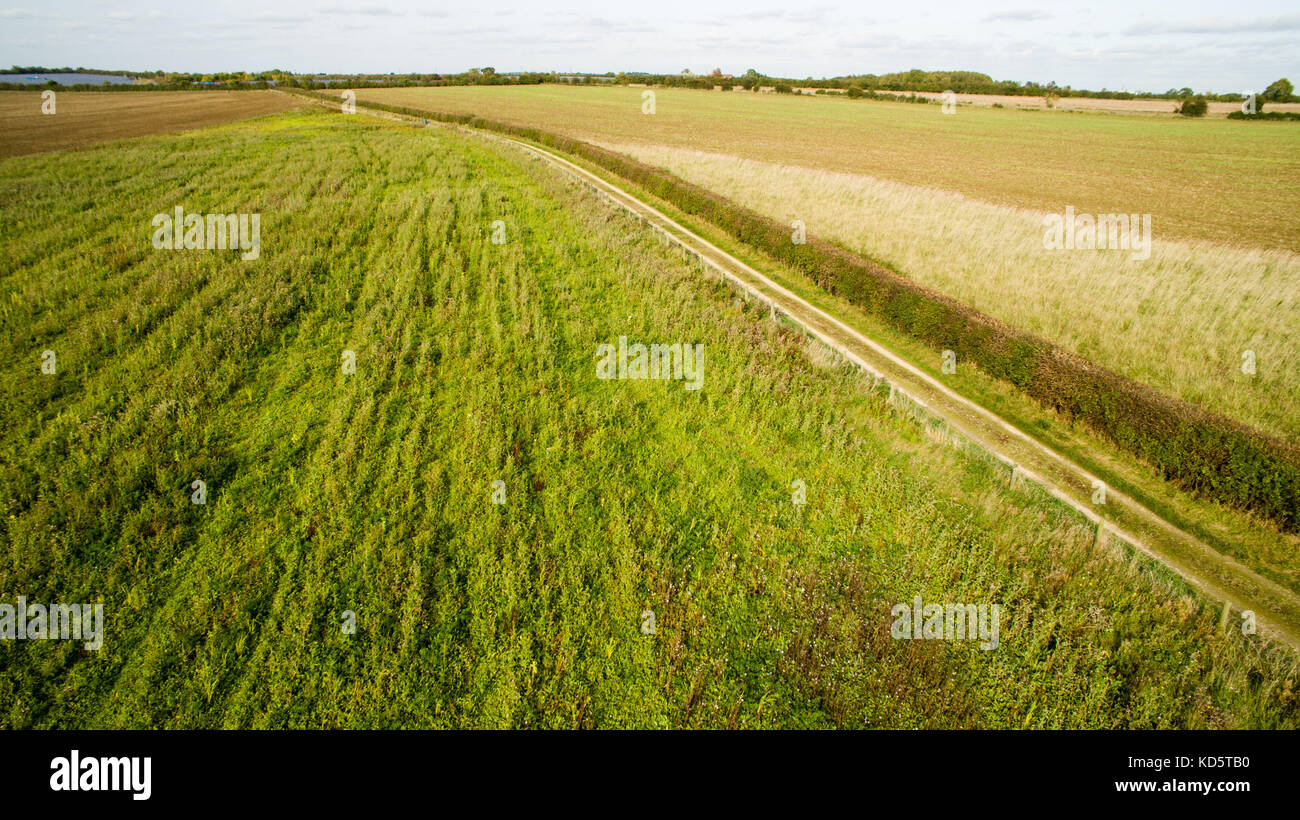 Drone view of fields Stock Photo - Alamy