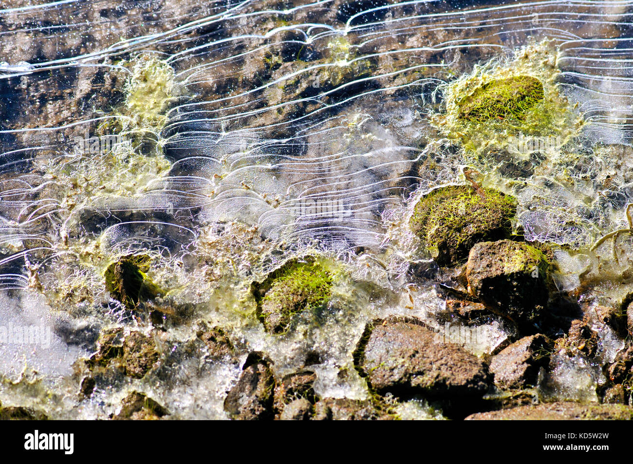 Les Angles. France Stock Photo - Alamy