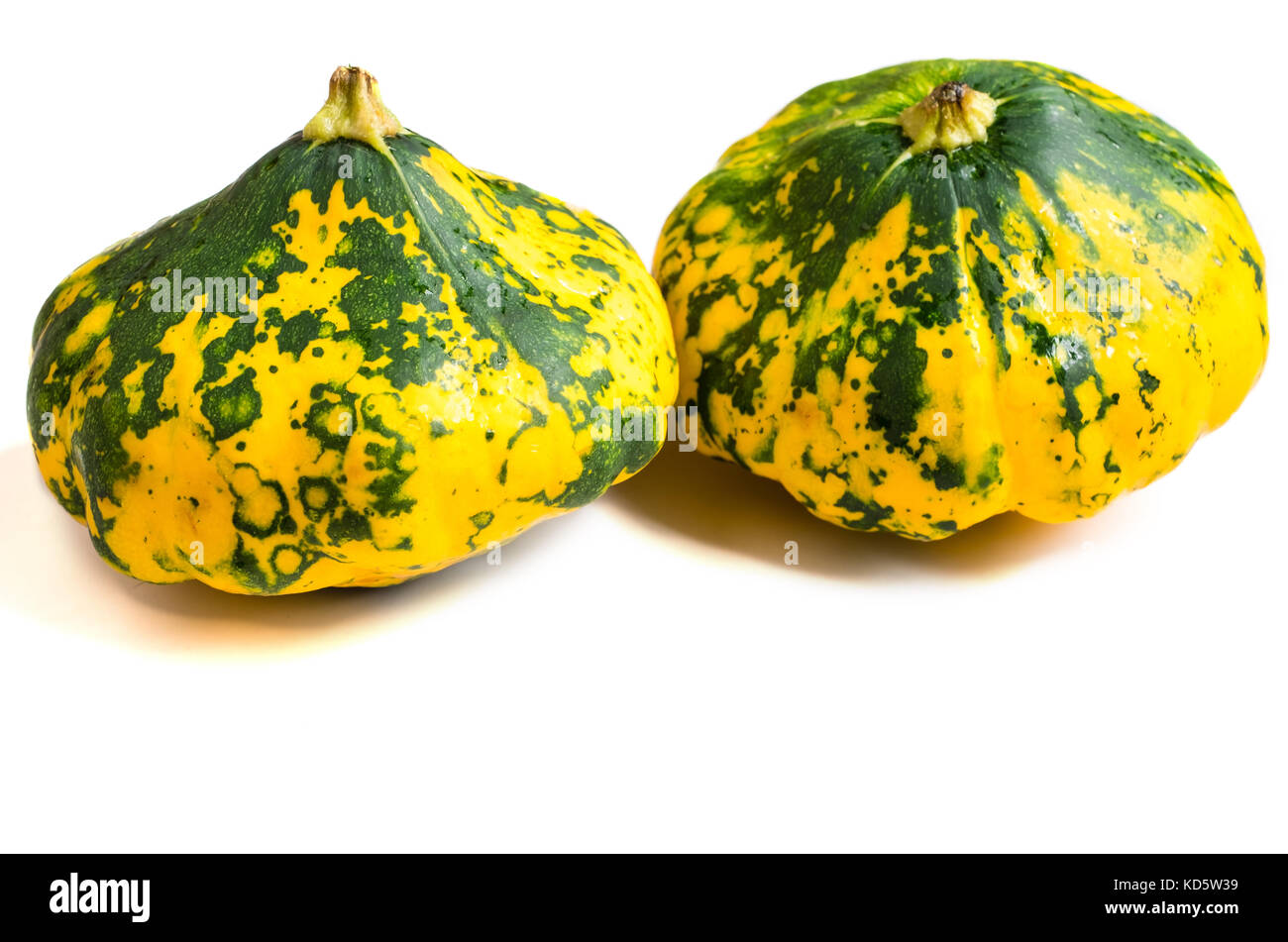 Two beautiful colorful with green and yellow spots patty pan squashes ...