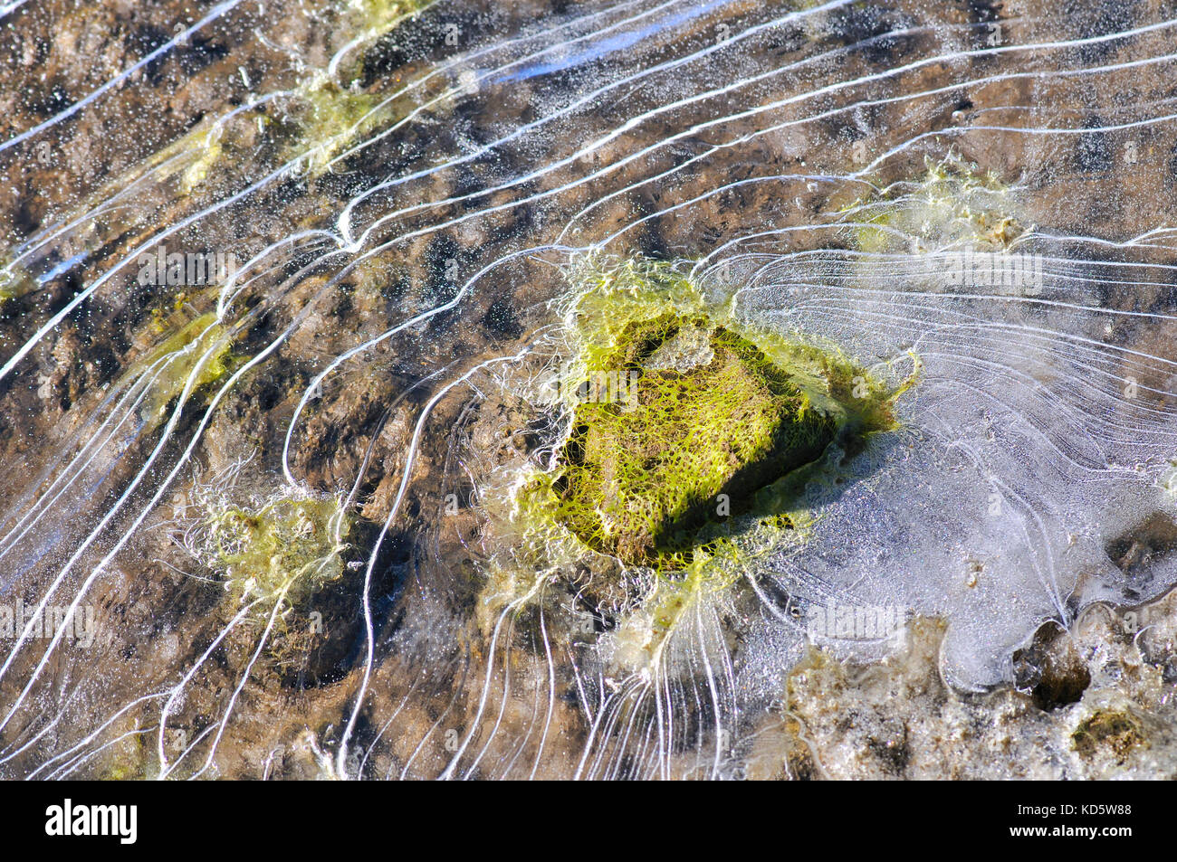 Les Angles. France Stock Photo - Alamy