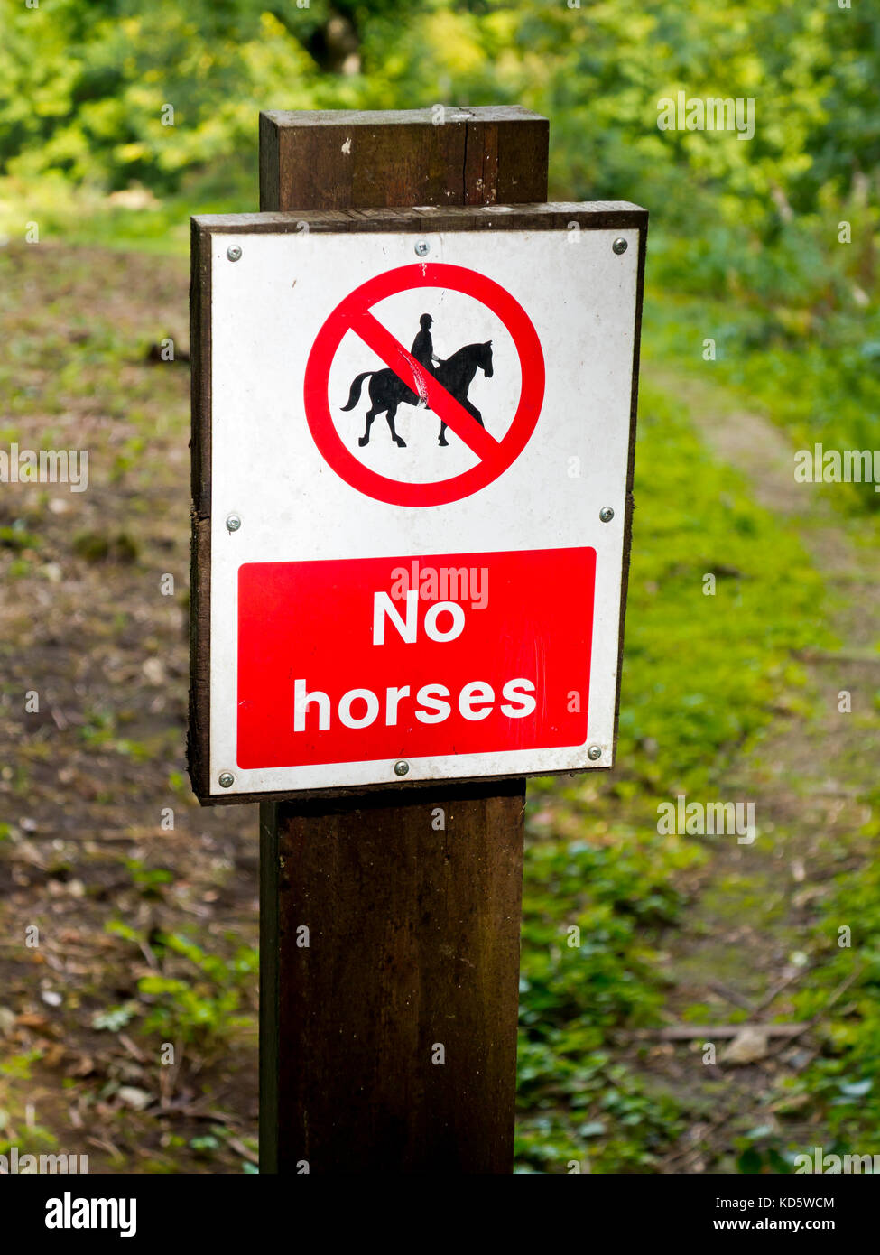 Close up view of No Horses sign on a wooden post with footpath in ...