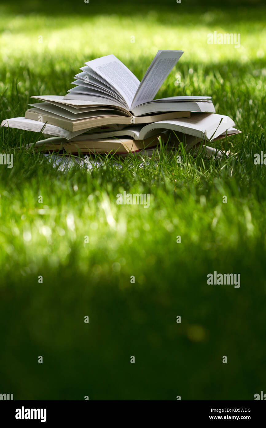 vertical side view of many open books on top of each other standing on ...