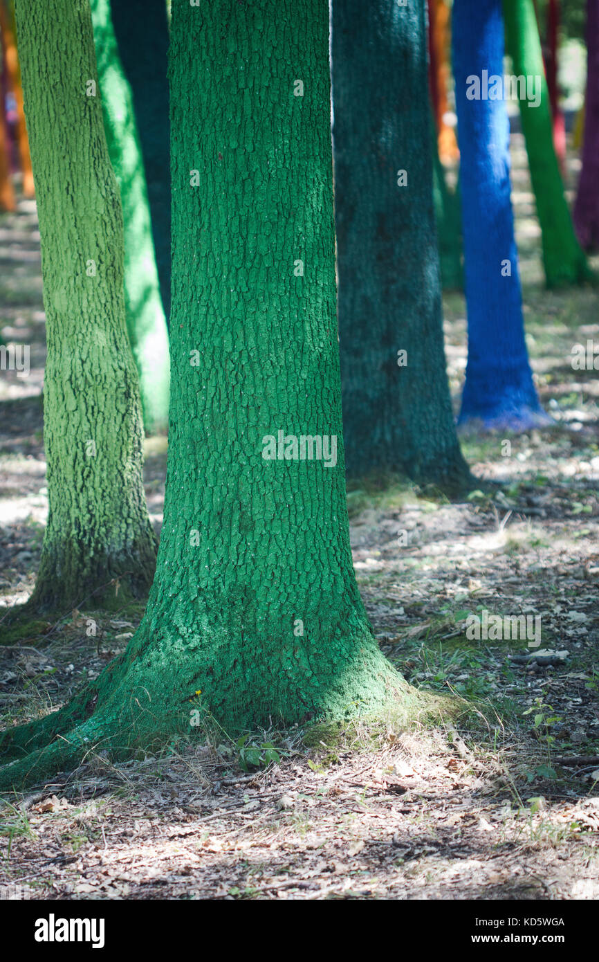 colorful forest with tree bark painted in many colors Stock Photo - Alamy