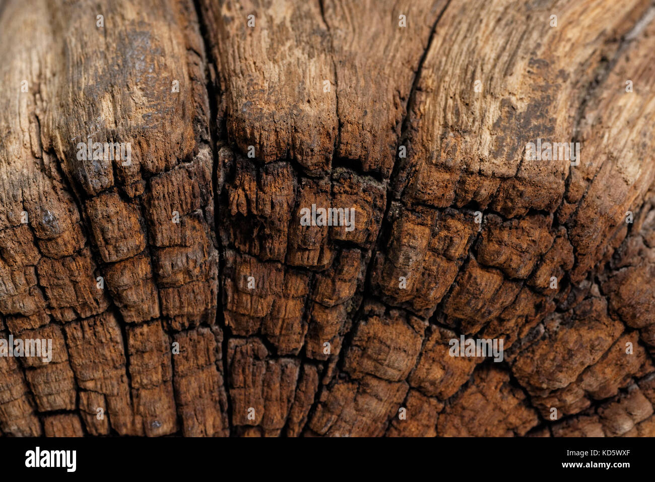 Old antique wooden texture hi-res stock photography and images - Alamy