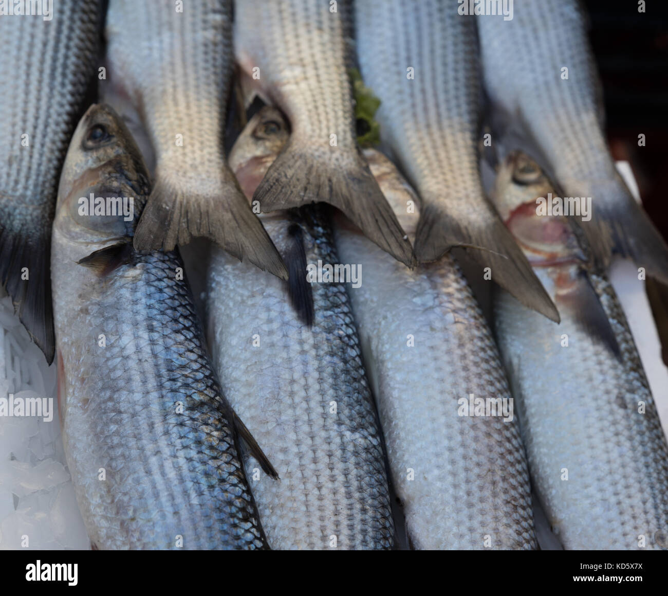 Mediterranean fish exposed in open market in Napoli Stock Photo - Alamy
