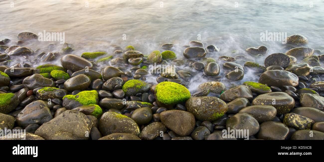 View of a shingle beach in Madeira, Portugal Stock Photo - Alamy