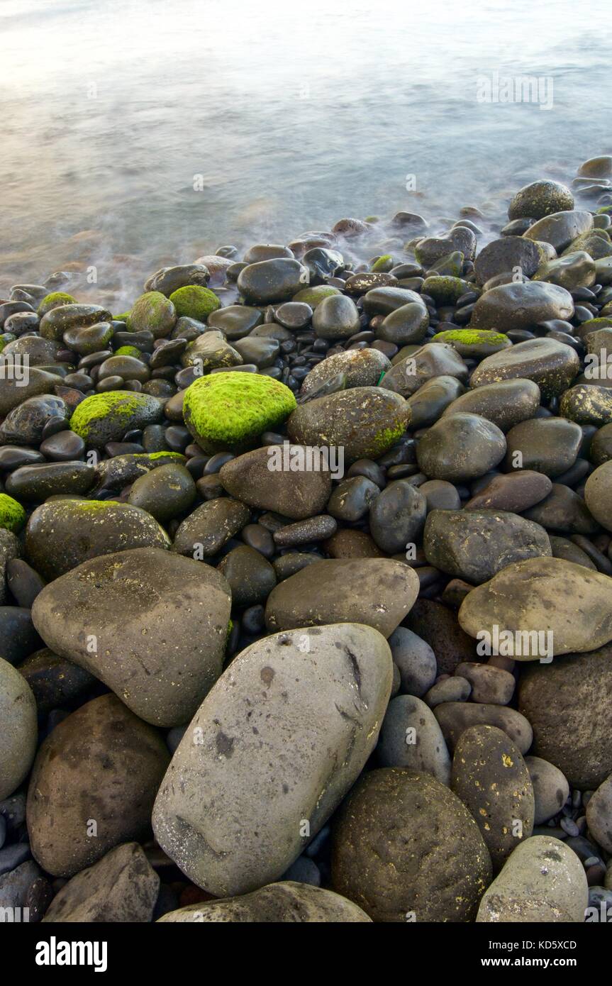 View of a shingle beach in Madeira, Portugal Stock Photo - Alamy