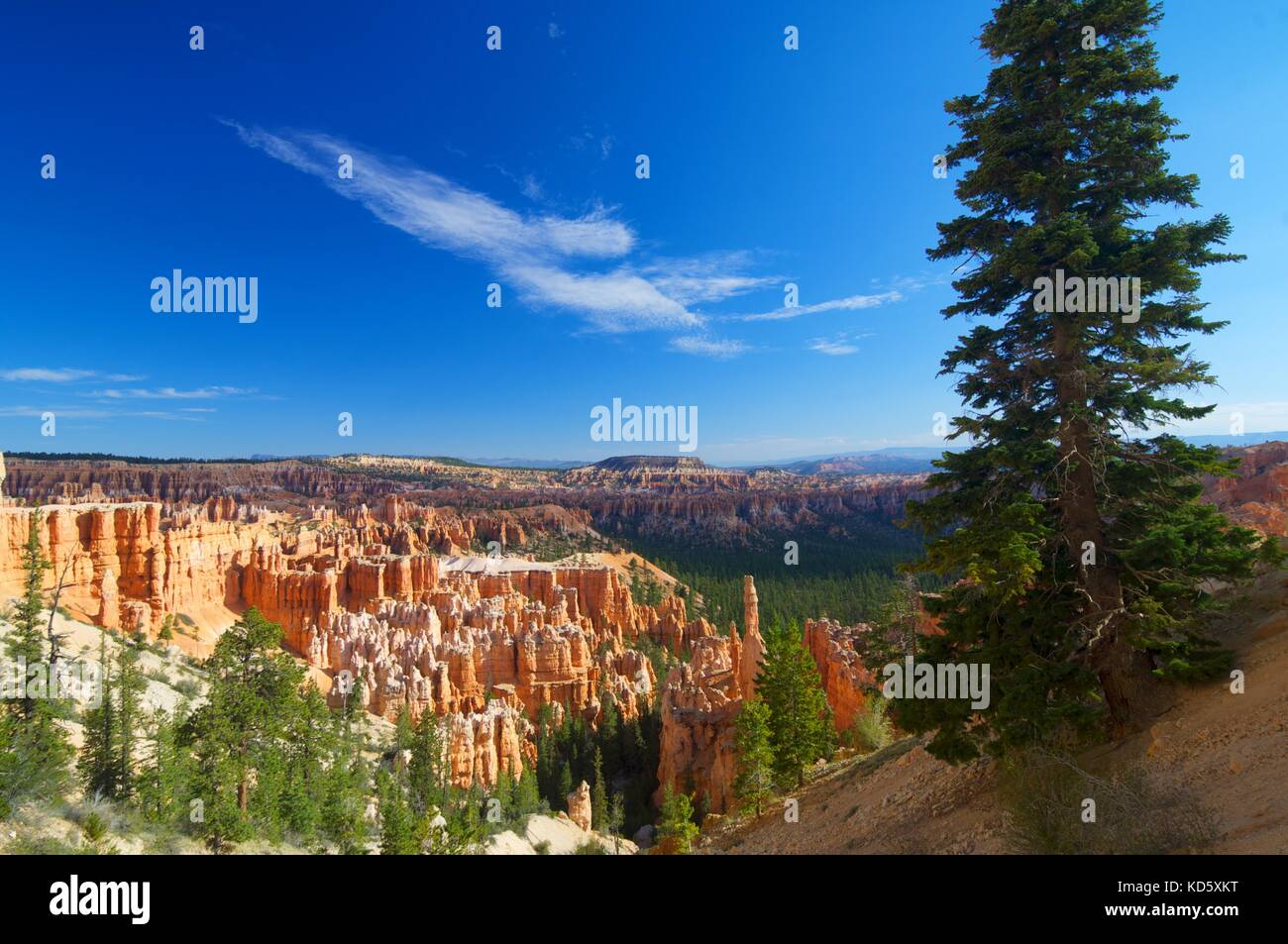 Pinnacles in Bryce Canyon National Park, Utah, Usa Stock Photo - Alamy