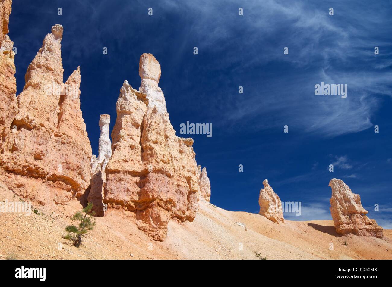 Pinnacles in Bryce Canyon National Park, Utah, Usa Stock Photo - Alamy