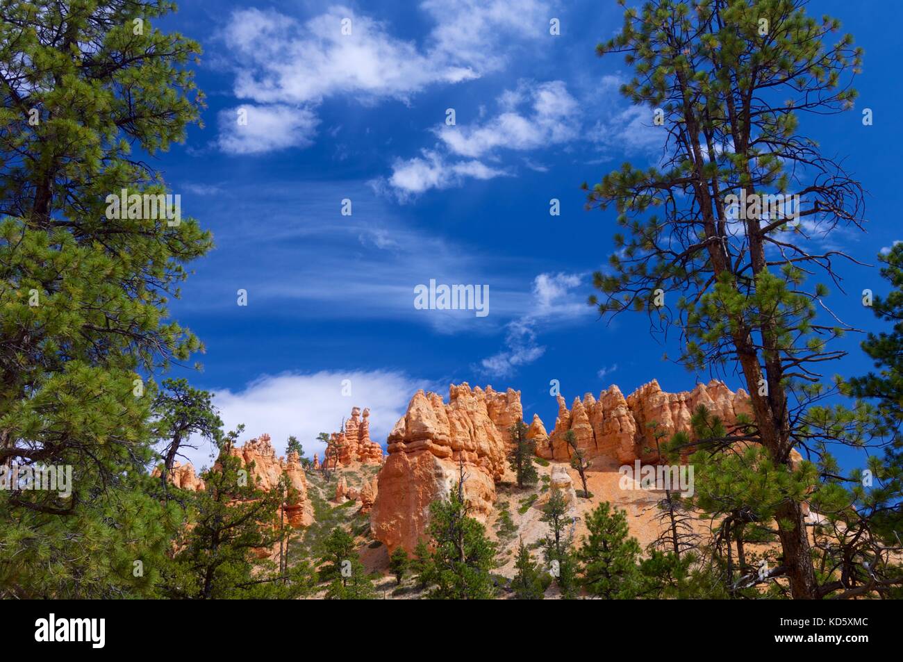 Pinnacles in Bryce Canyon National Park, Utah, Usa Stock Photo - Alamy