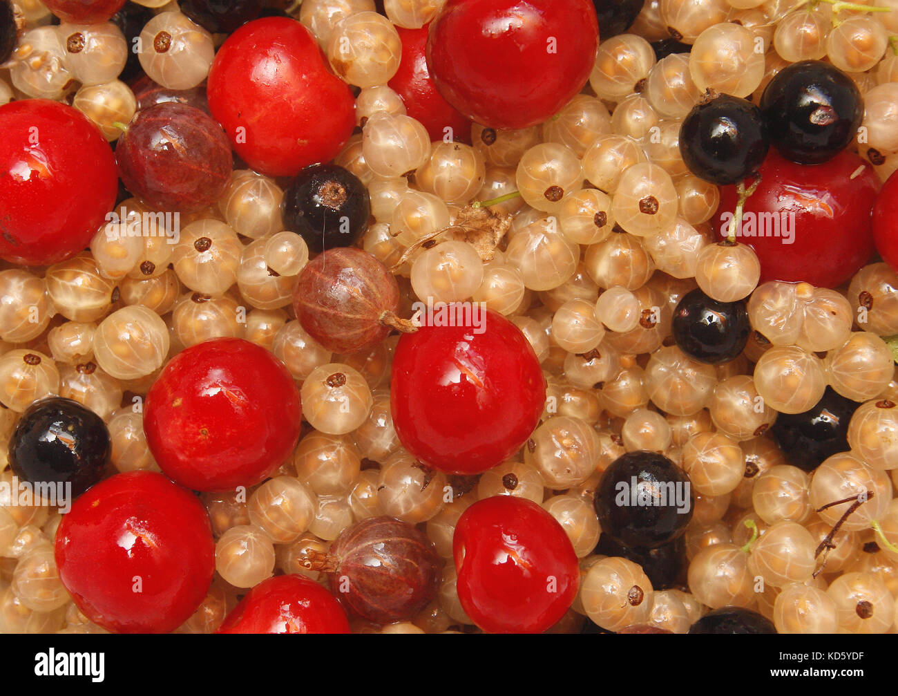 close up image of mixed summer berries Stock Photo - Alamy